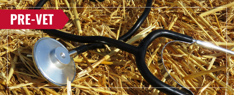 Veterinary Medicine - UGA Pre-Professional Advising Office